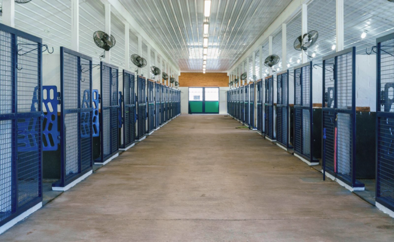11 Types of Horse Barns & Stall Layouts | Wynstride